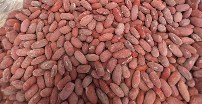 Frozen red kidney beans - BYFROST Sp. z o.o.